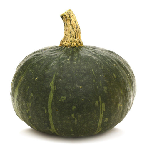 Buttercup Squash Pumpkin - Highfield Market